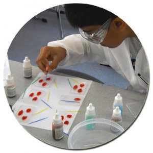 CSI-Comprehensive-Blood-Ana - THINKERS in EDUCATION